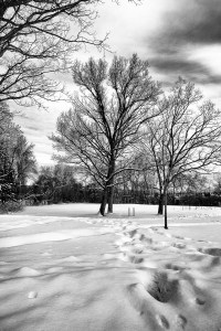 Light Conspiracy | Photography by Edward Brezinski