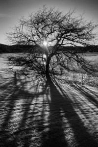 Light Conspiracy | Photography by Edward Brezinski