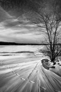 Light Conspiracy | Photography by Edward Brezinski