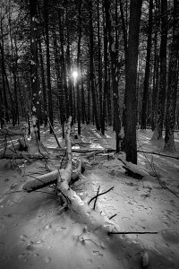 Light Conspiracy | Photography by Edward Brezinski