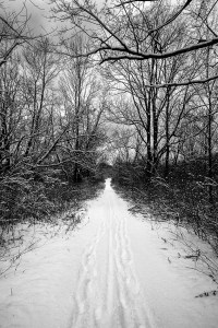 Light Conspiracy | Photography by Edward Brezinski