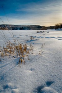 Light Conspiracy | Photography by Edward Brezinski